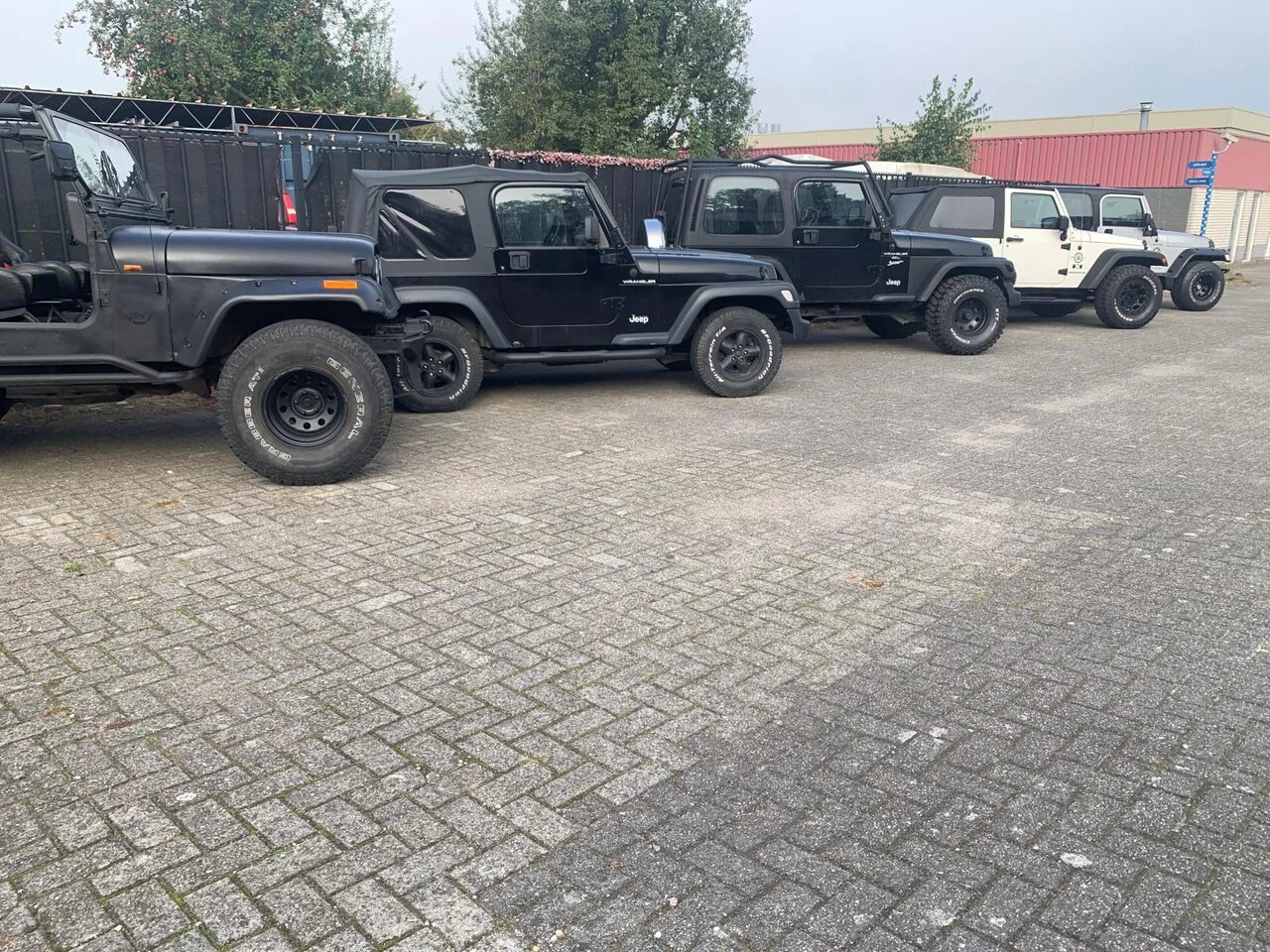Jeep Wrangler -JEEPS KAATSHEUVEL AMERICARS.NL- 2000 Benzine - Occasion ...