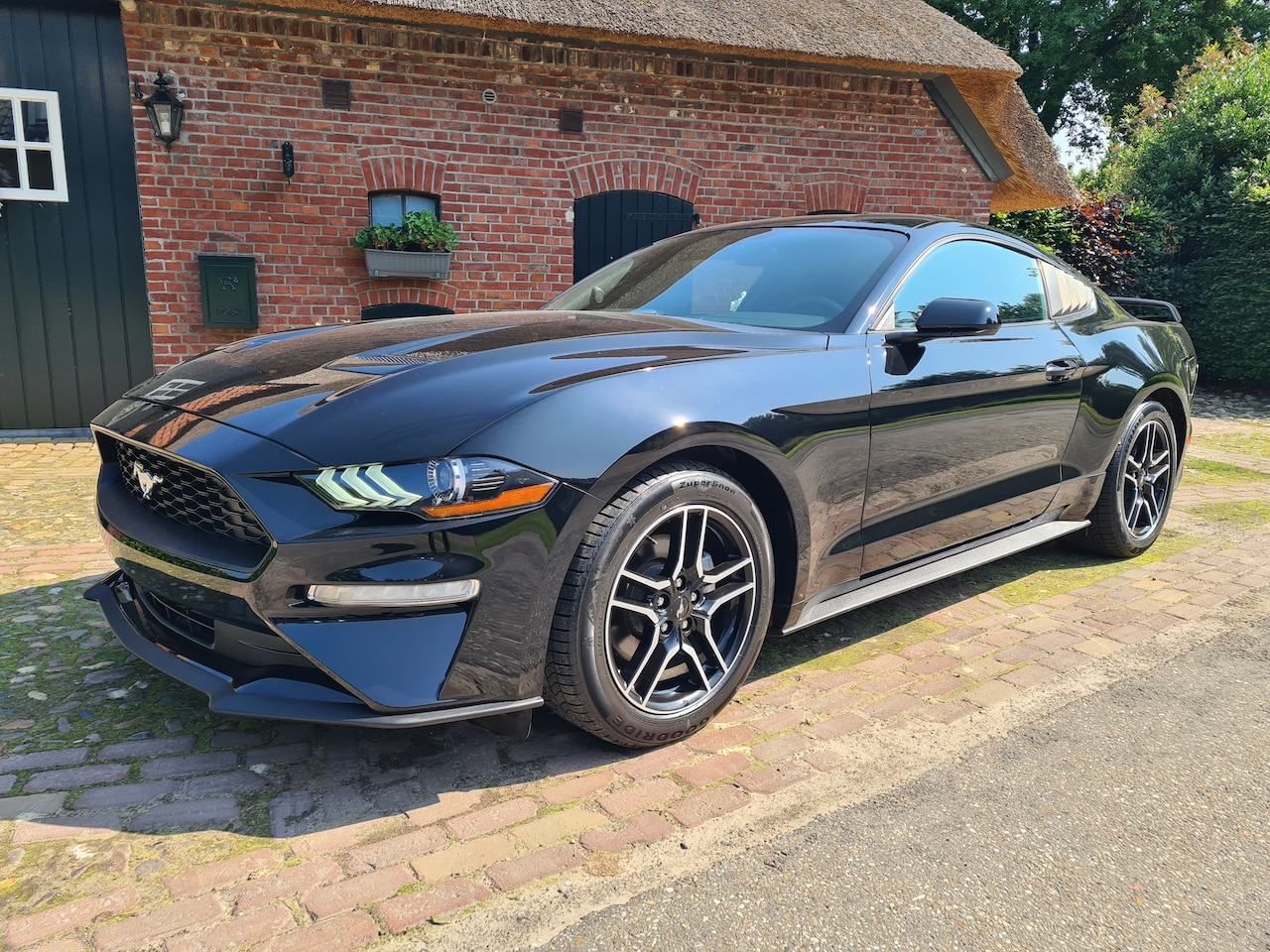 Ford Mustang Fastback 2.3 EcoBoost 2018 Benzine - Occasion te koop op ...