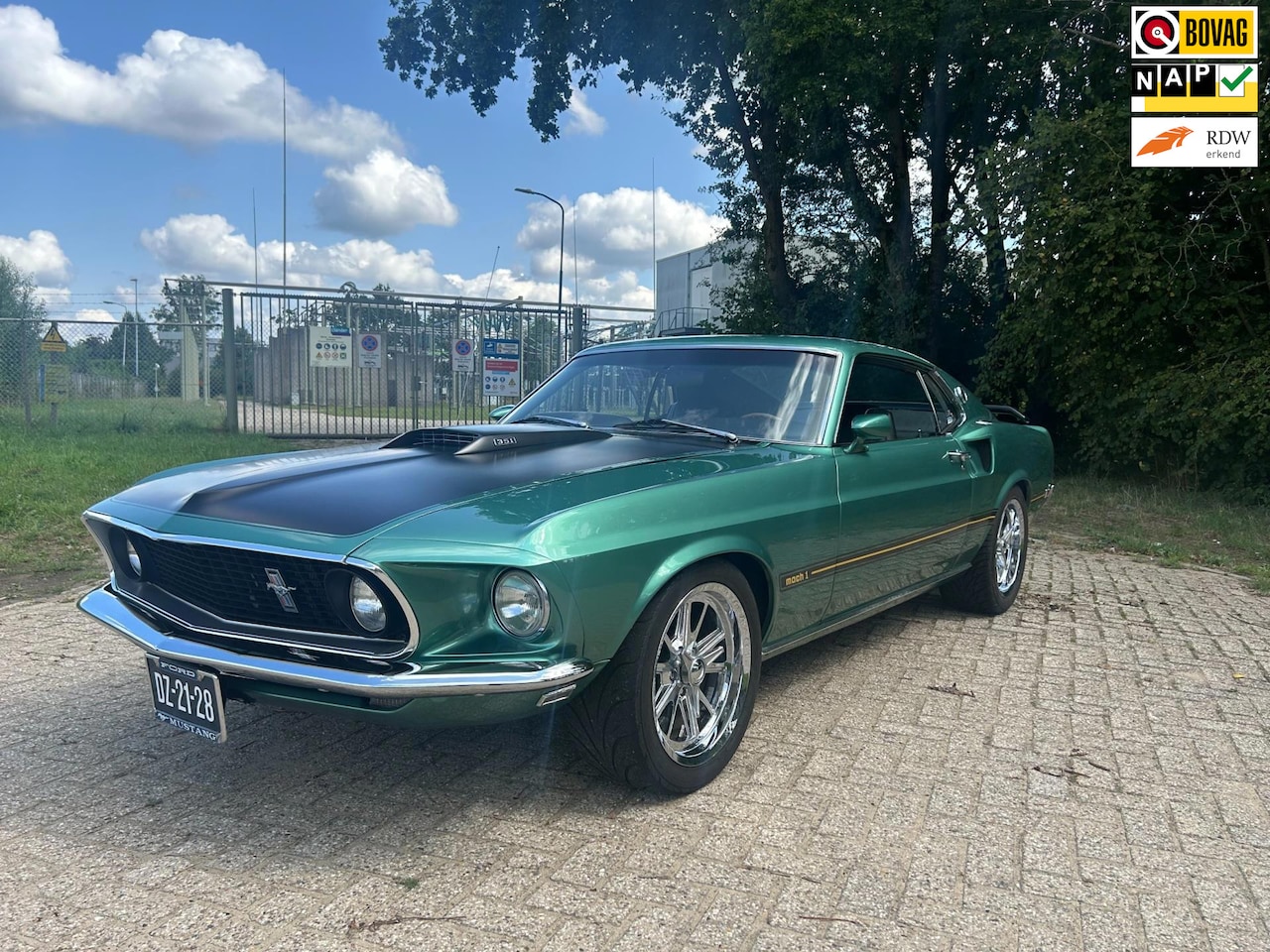 Ford Mustang Mach 1 / 1969 / V8 351 automaat 1969 Benzine - Occasion te ...