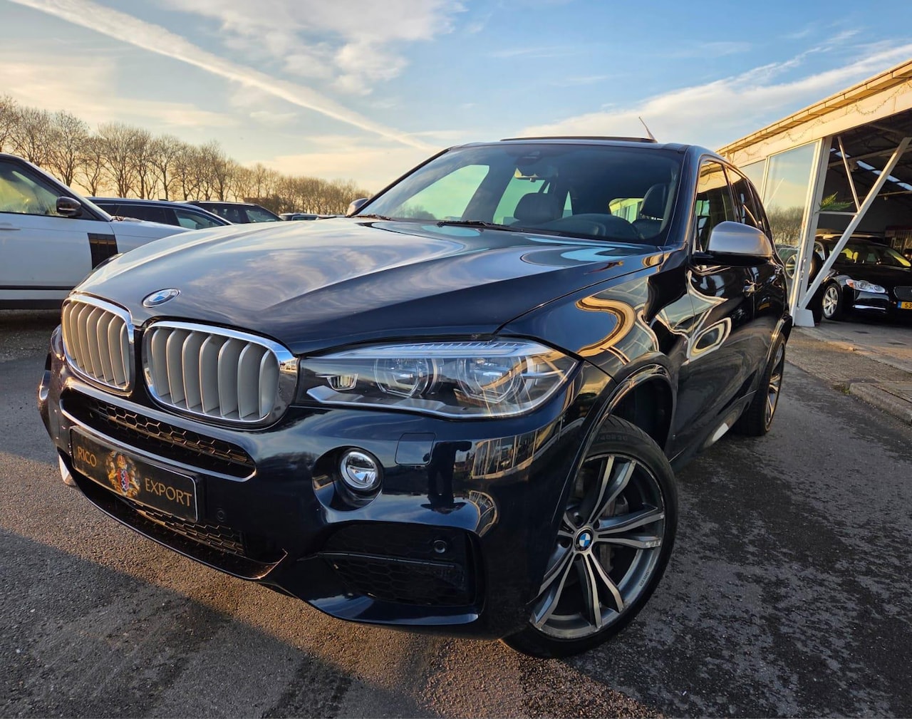 BMW X5 M50D 381PK PANORAMA AUT ORIGINAL M M50D 2015 Diesel - Occasion ...